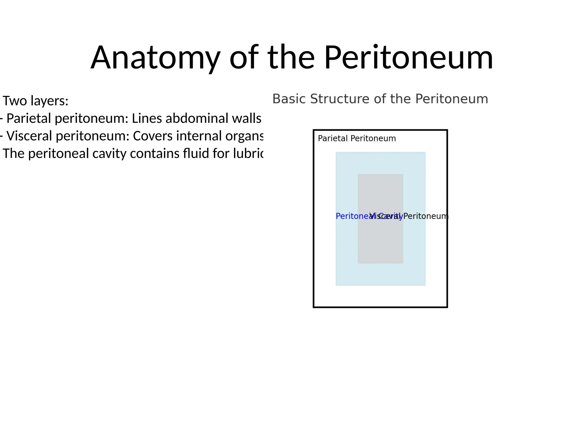 Peritoneum_Presentation ooooooooooo.pptx