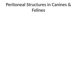Peritoneum_Veterinary_Anatomy 00(1).pptx