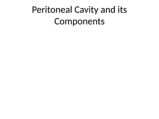 Peritoneum_Veterinary_Anatomy 00(1).pptx