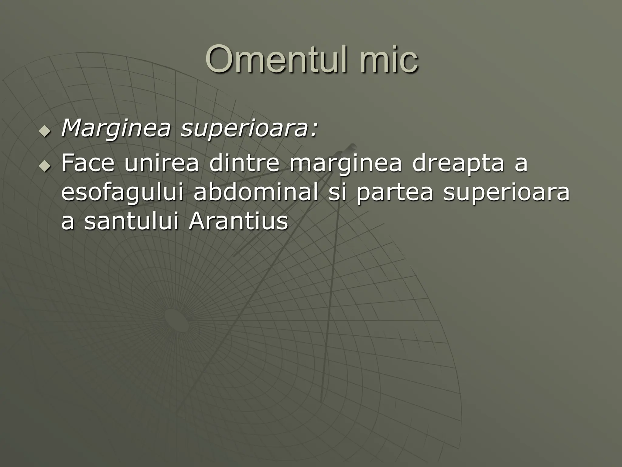 peritoneu Omentul mic, omentul mare si bursa omentala.ppt