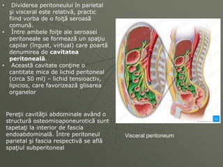 peritoneu Omentul mic, omentul mare si bursa omentala.ppt