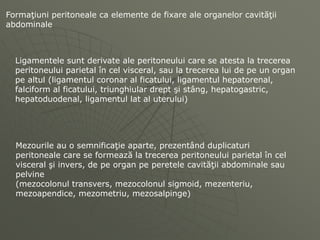 peritoneu Omentul mic, omentul mare si bursa omentala.ppt
