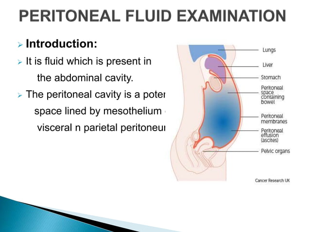 Peritonial fluid | PPTX | Biological Sciences | Science
