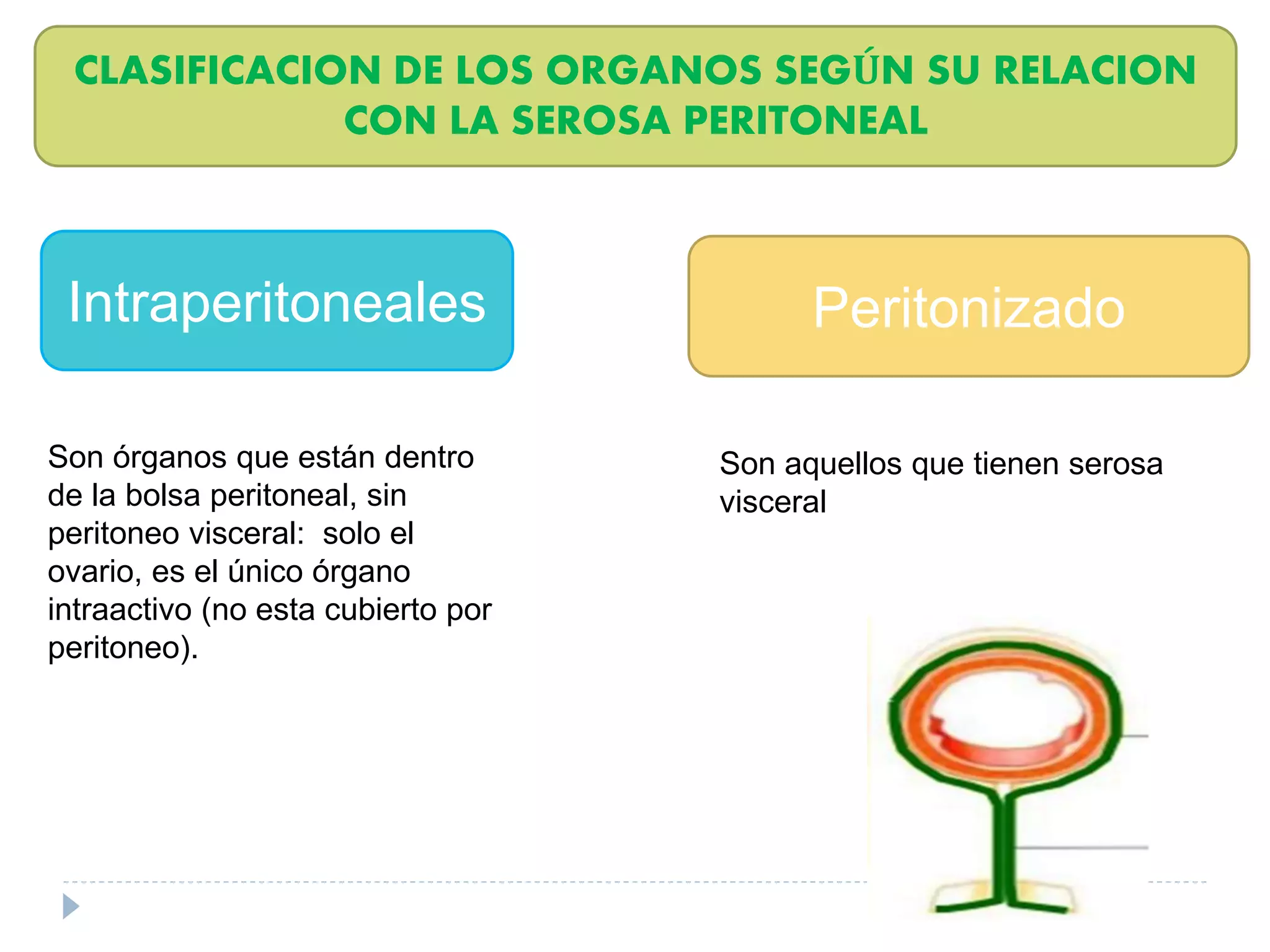 Peritoneo, Peritonitis y Abscesos intraabdominales | PPTX