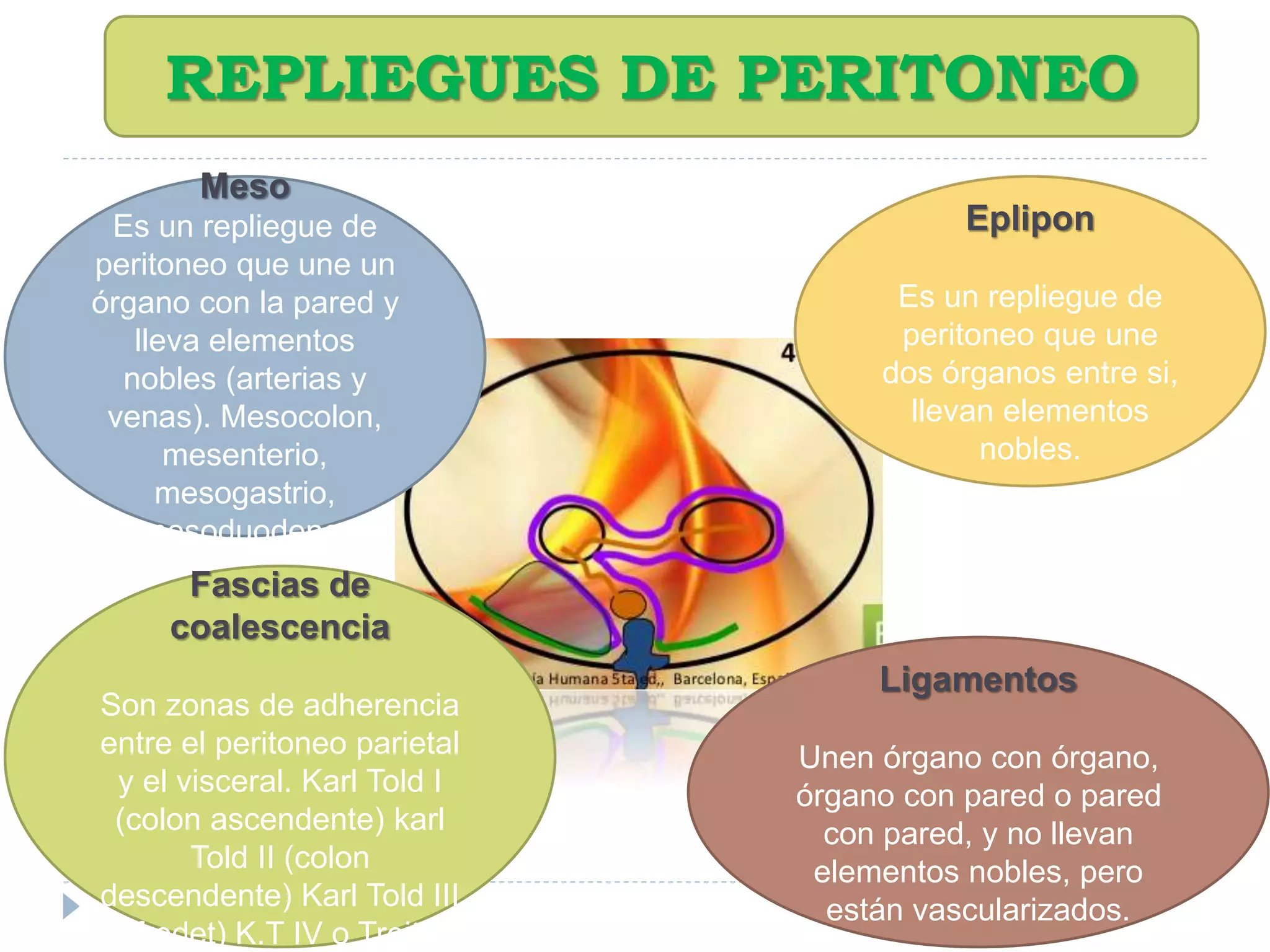 Peritoneo, Peritonitis y Abscesos intraabdominales | PPTX