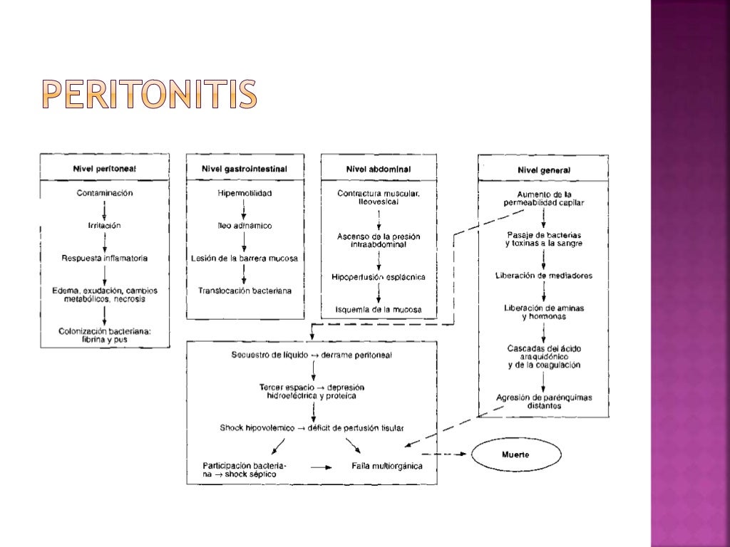 Schematic Diagram Of Peritonitis Peritonitis Peritoneum