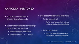 Peritoneo y Peritonitis | PPTX