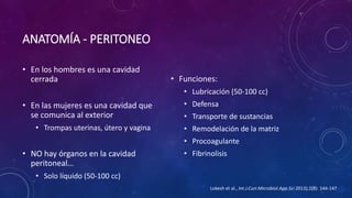 Peritoneo y Peritonitis | PPTX
