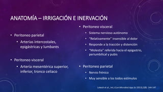 Peritoneo y Peritonitis | PPTX