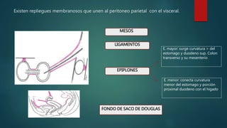 Peritonitis | PPTX