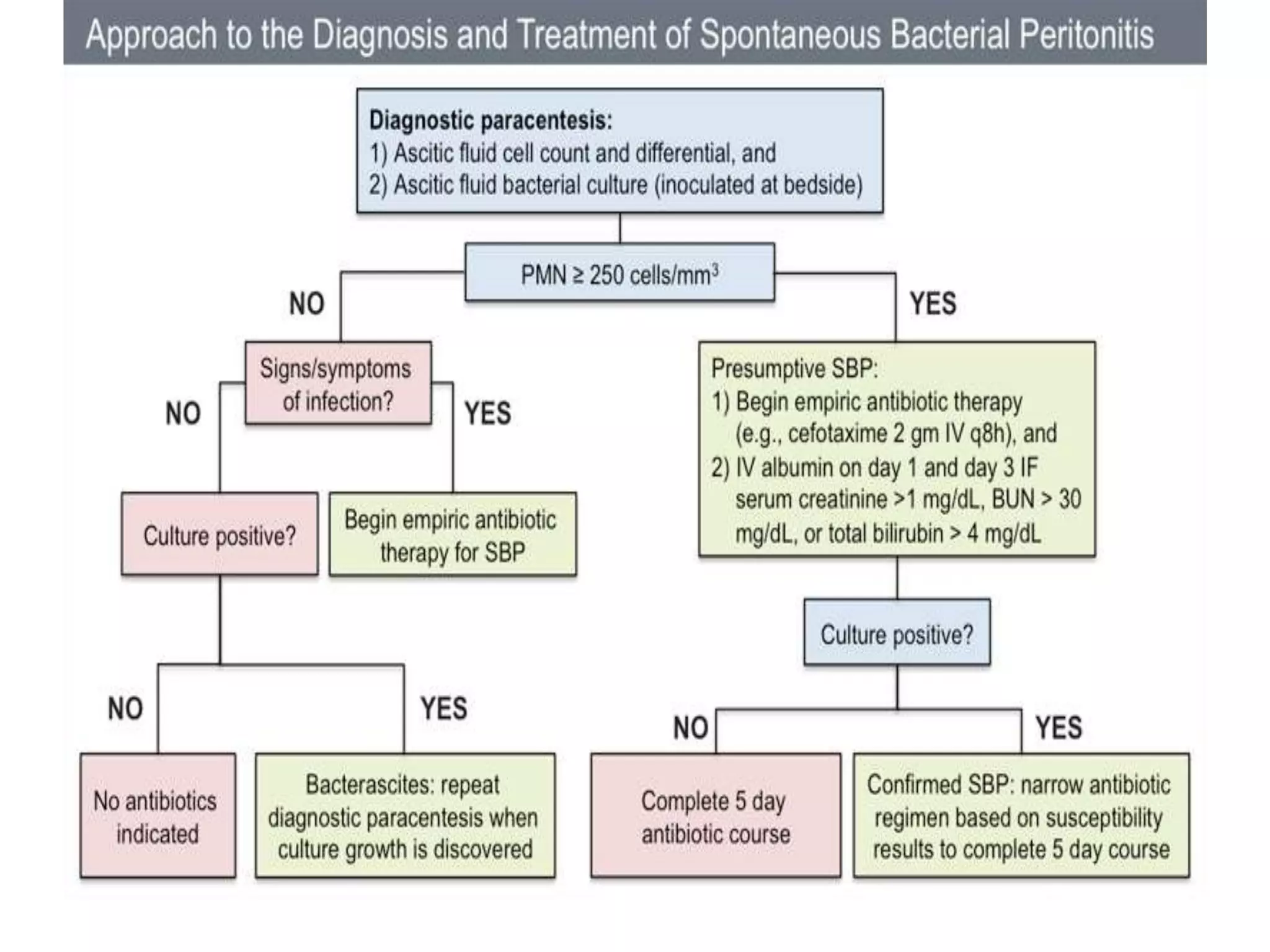 Peritonitis and Ascites | PPT