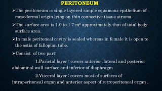 Peritonitis | PPTX