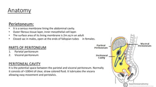 Peritonitis | PPTX