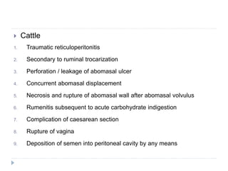 PERITONITIS.pptx