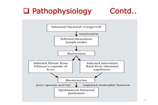 Peritonitis Seminar Pptx Pptx