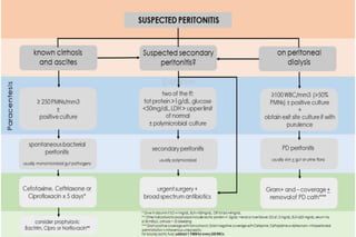 Peritonitis Seminar pptx | PPTX