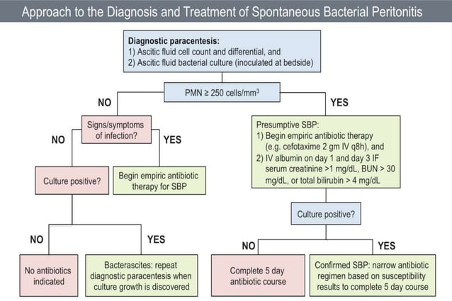 Peritonitis Seminar Pptx Ppt