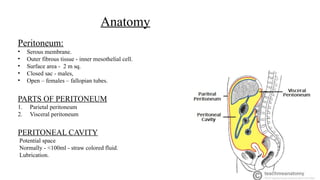 Pesjsjsjjdjskskkdnshhshhdhdhhskritonitis.pptx