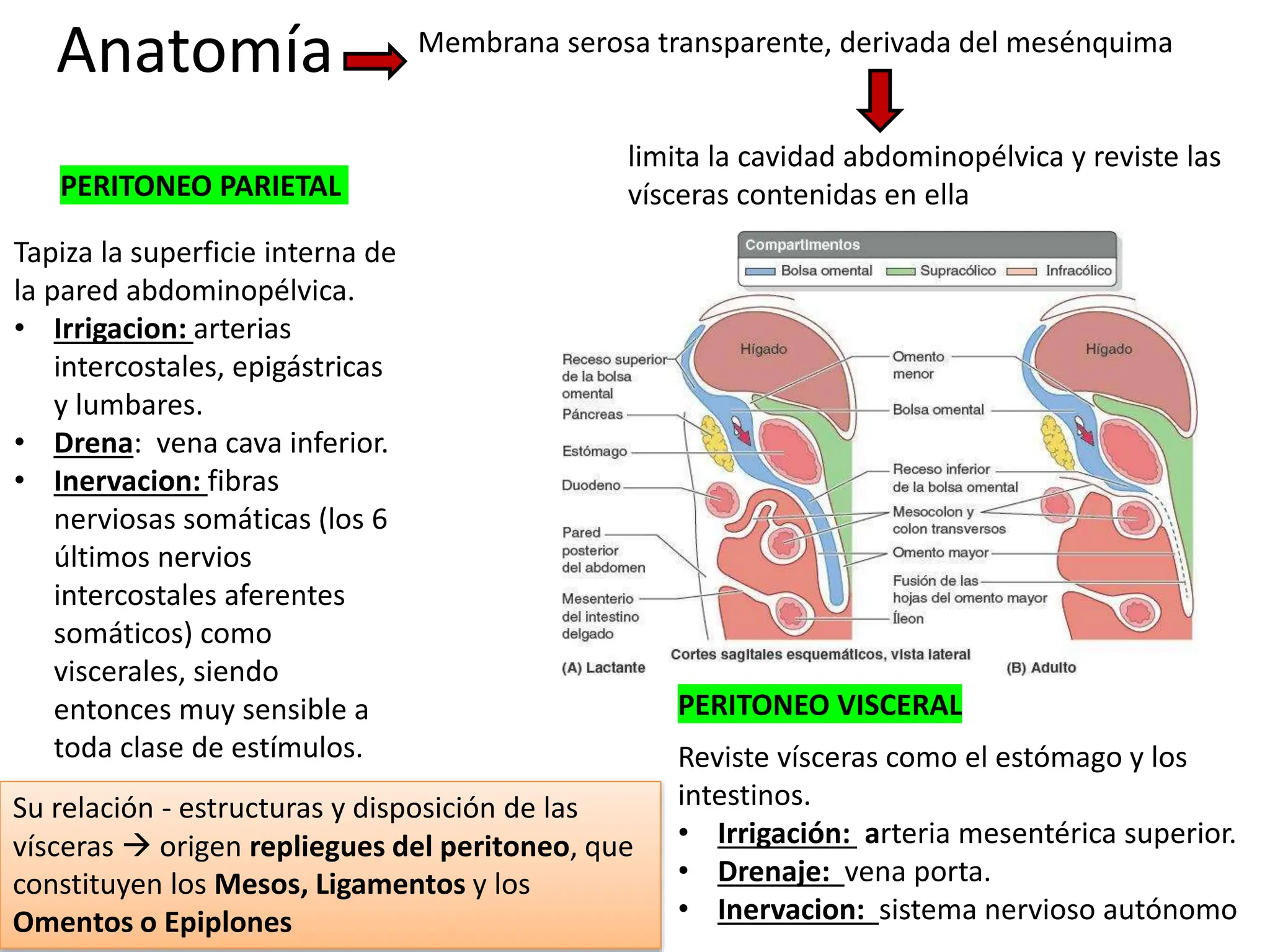 PERITONITIS.pptx | Medical Health