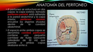 Peritonitis Linda Fajardo | PPT