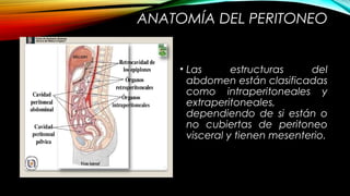 Peritonitis Linda Fajardo | PPT