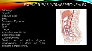 Peritonitis Linda Fajardo | PPT
