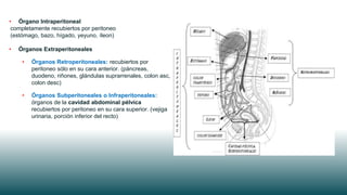 PERITONITIS - SUBGRUPO 3 CIRUGÍA II.pptx