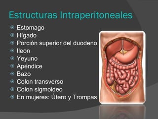 Peritonitis 2 | PPT