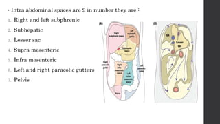 peritonitis and intra abdominal abscess.pptx