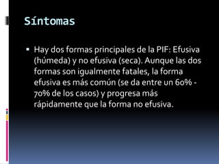Peritonitis infecciosa felina | PPTX