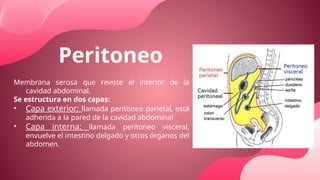 peritonitis y colostomia diapositivas presentar.pptx