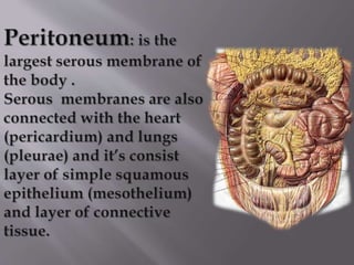 Peritonium (anatomy and physiology and pathology) | PPTX