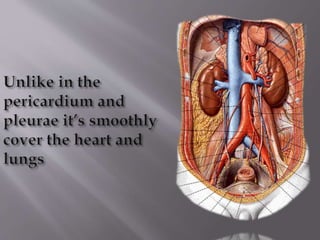 Peritonium (anatomy and physiology and pathology) | PPTX
