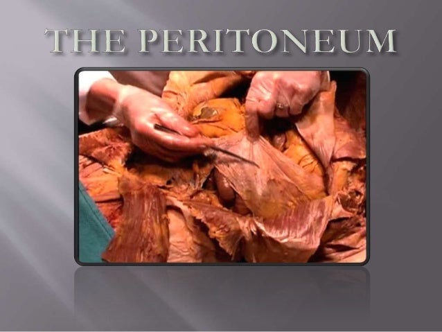 Peritonium (anatomy and physiology and pathology)