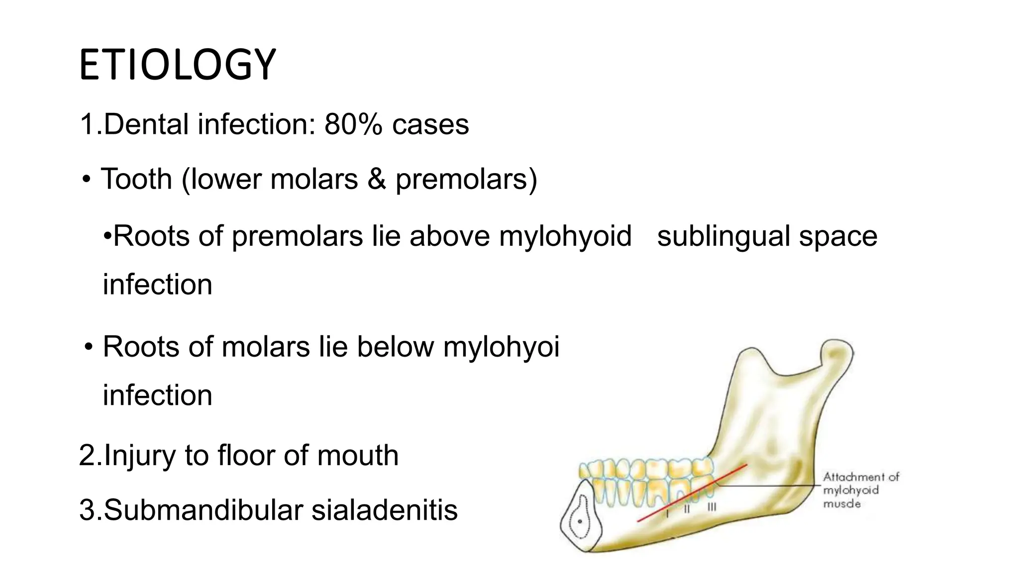 PERITONSILLAR ABSCESS.pptx ug ppt slideshow | PPT