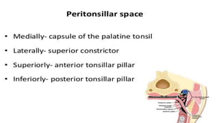 PERITONSILLAR ABSCESS.pptx ug ppt slideshow | PPTX