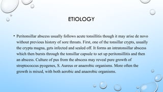 Comprehensive Overview of Peritonsillar Abscess (Quinsy): Anatomy ...