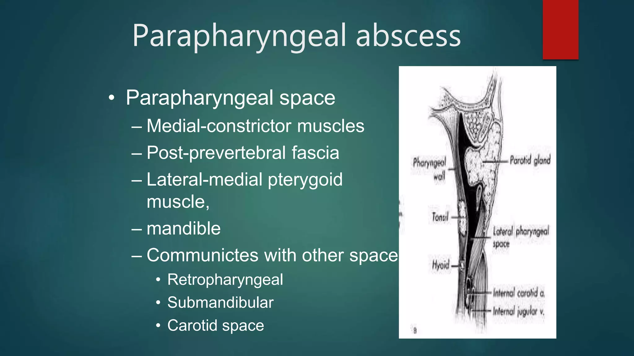 Peritonsillar abscess, parapharyngeal abscess, retropharyngeal abscess ...