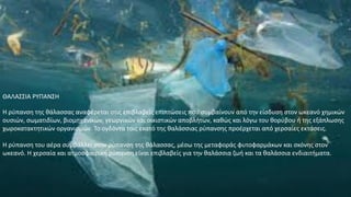 Περιβαλλοντικά Προβλήματα του πλανήτη | PDF