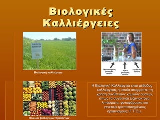 Perivallontiki diaxeirisi (1) | PPT