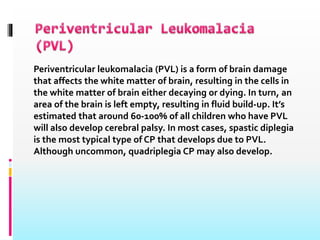 Periventricular leukomalacia (pvl) | PPTX