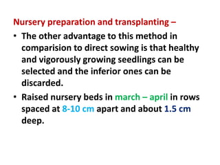 Periwinkle cultivation | PPTX