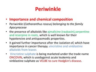 Periwinkle.pptx