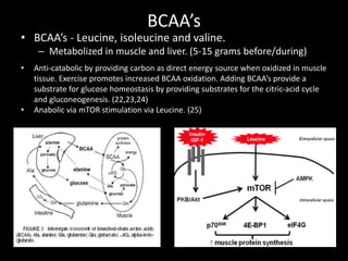 Periworkout nutrition lecture1 | PPTX