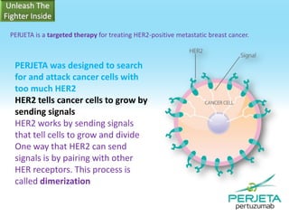 Perjeta Mechanism Of Action