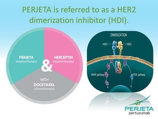Perjeta Mechanism Of Action
