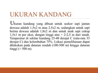 PERKANDANGAN DAN BIBIT TERNAK SAPI PERAHHHHHH.pptx