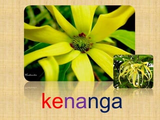 Perkataan digraf | PPTX