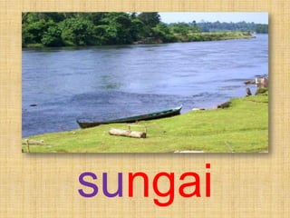 Perkataan digraf | PPTX