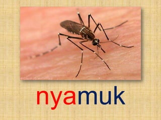 Perkataan digraf | PPTX